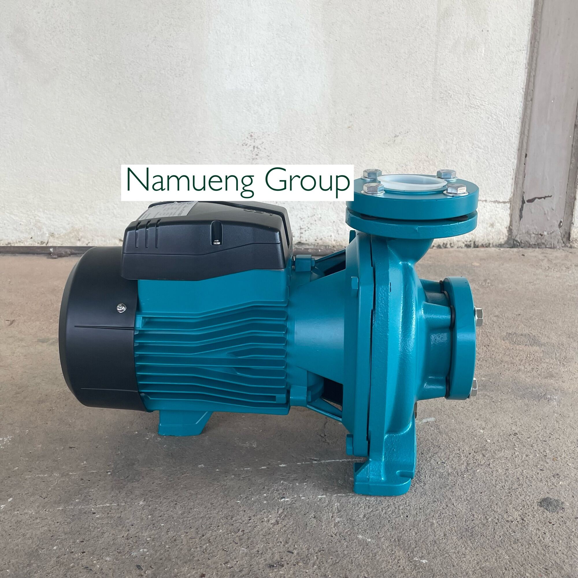 ปั๊มหอยโข่งไฟฟ้า ปั๊มน้ำ LEO รุ่น Acm 150 BF2 ขนาด2นิ้ว 2แรง ไฟ220V ...