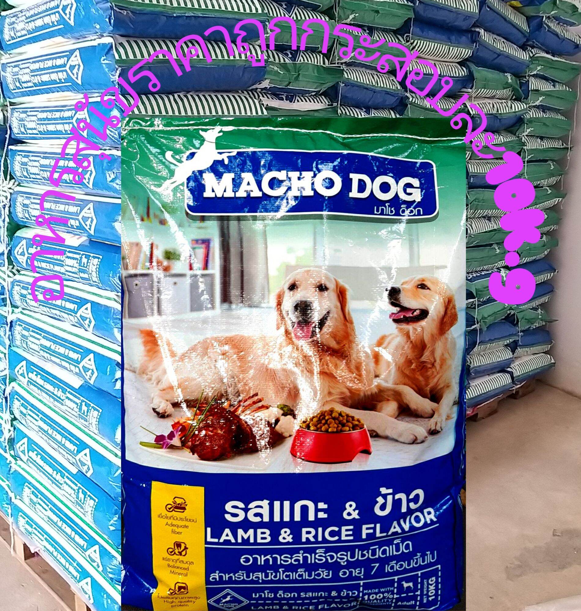 🐕‍🦺Macho dog 1สี..อาหารสุนัขรสเนื้อแกะและข้าว10k.g🐕‍🦺 | Lazada.co.th