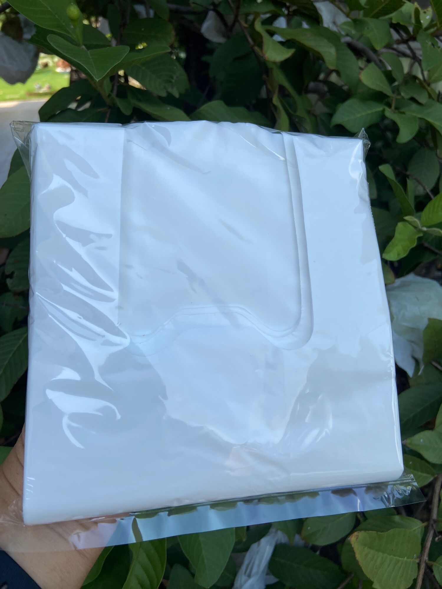 Guava packaging bag 612 614 fruit packaging bag 500g per pack anti ...