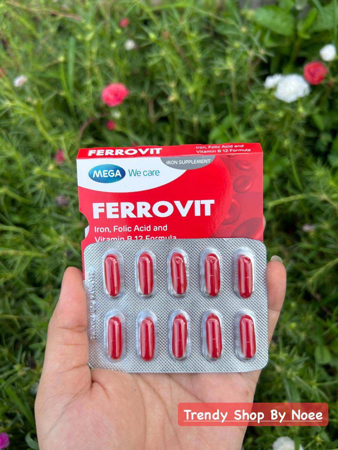 Ferrovit Iron Supplement | Lazada.co.th