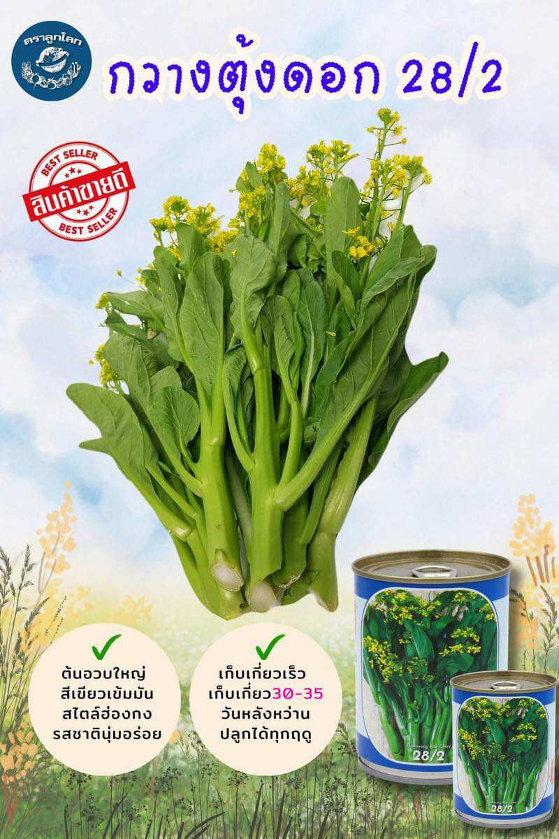 กวางตุ้งฮ่องกง ตุ้งดอก บรรจุ 80 กรัม (ประมาณ 20000 เมล็ด) สิ้นอายุทำ ...