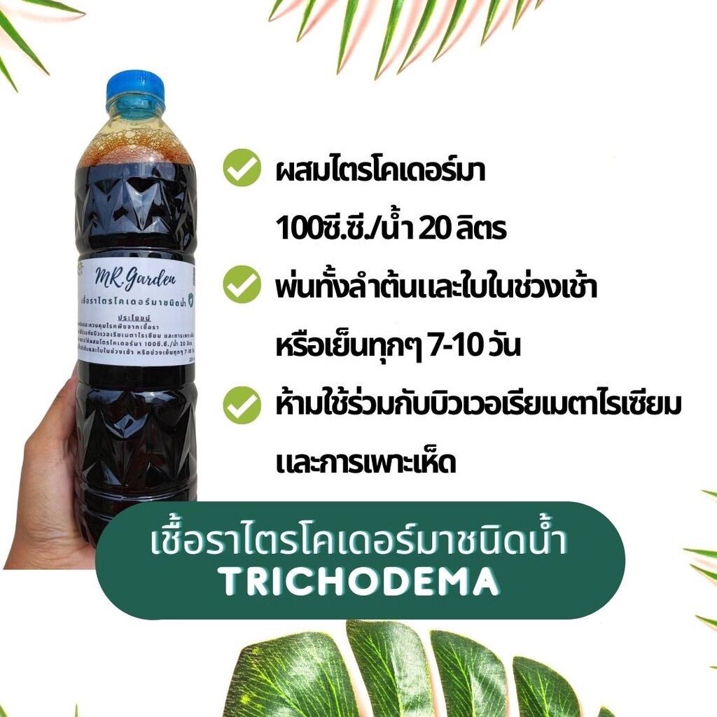 Liquid Trichoderma Bio Fungicide. The potential antagonistic fungus ...