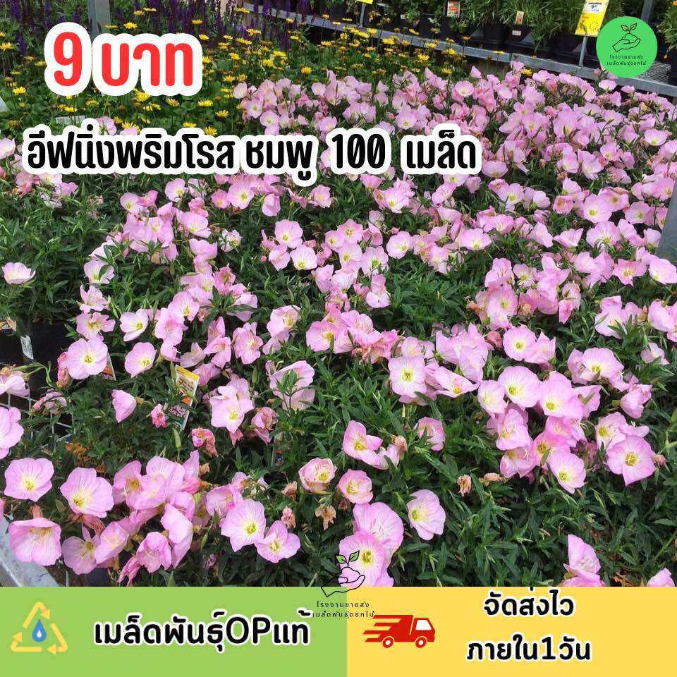 See90c20d47d8487ab04d1ee89885b65ap.jpg See90c20d47d8487ab04d1ee89885b65ap.jpg