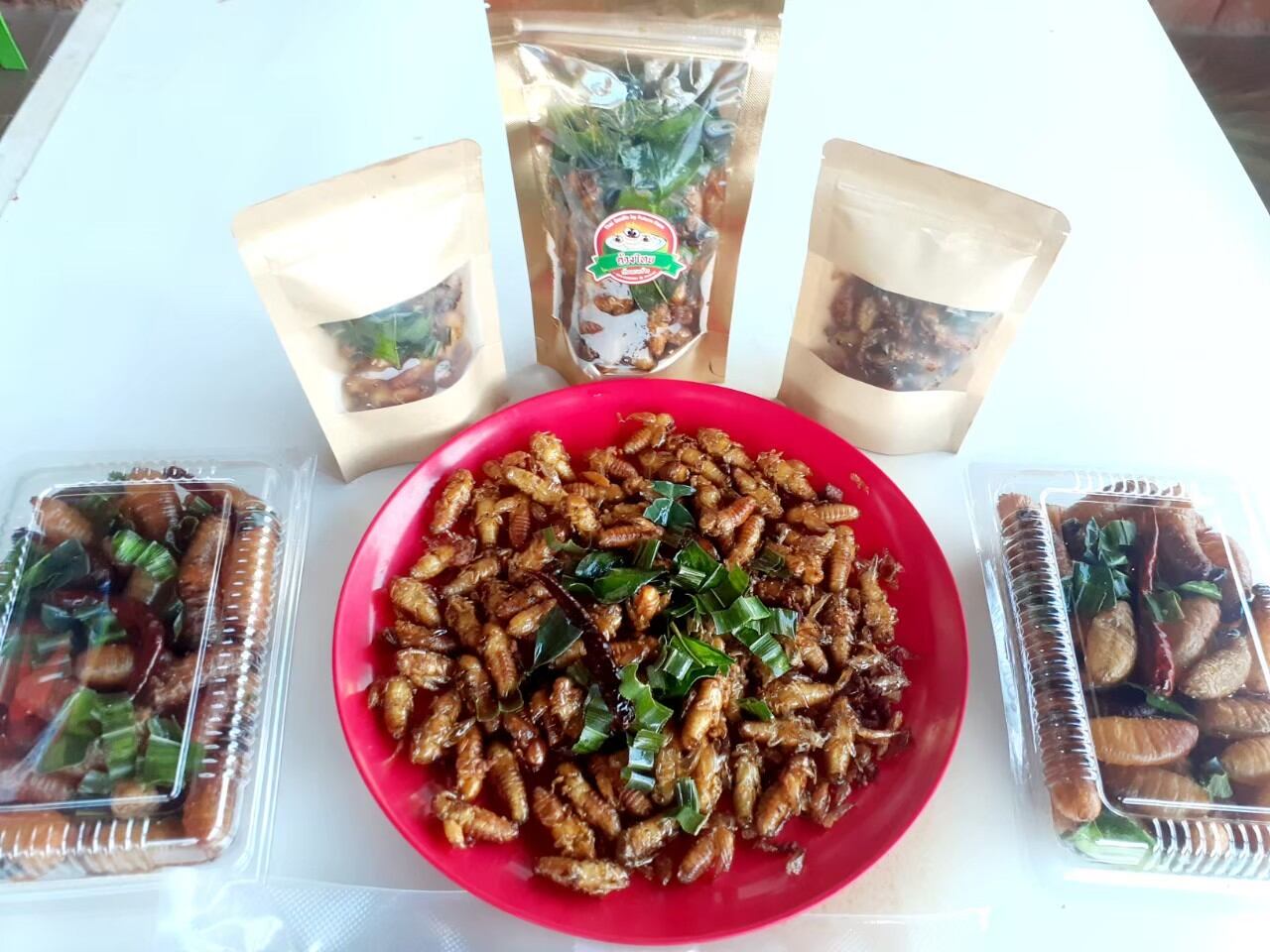 ดักแด้ตัวอ่อนด้วงมะพร้าว ทอดสมุนไพร น้ำหนักก่อนทอด 200 กรัม | Lazada.co.th