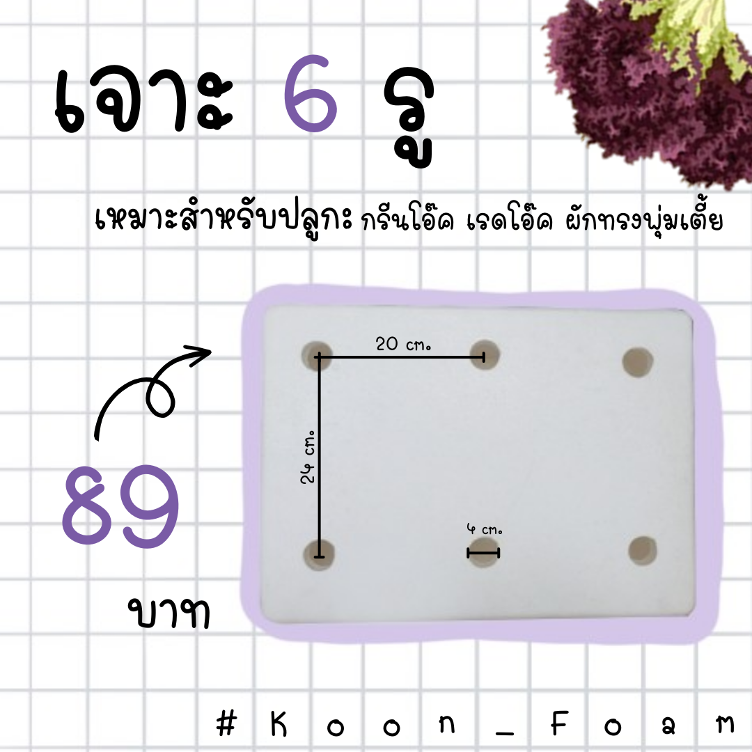 กล่องโฟมปลูกผัก กล่องไฮโดรโปนิกส์ กล่องโฟมเจาะ 6 รู | Lazada.co.th