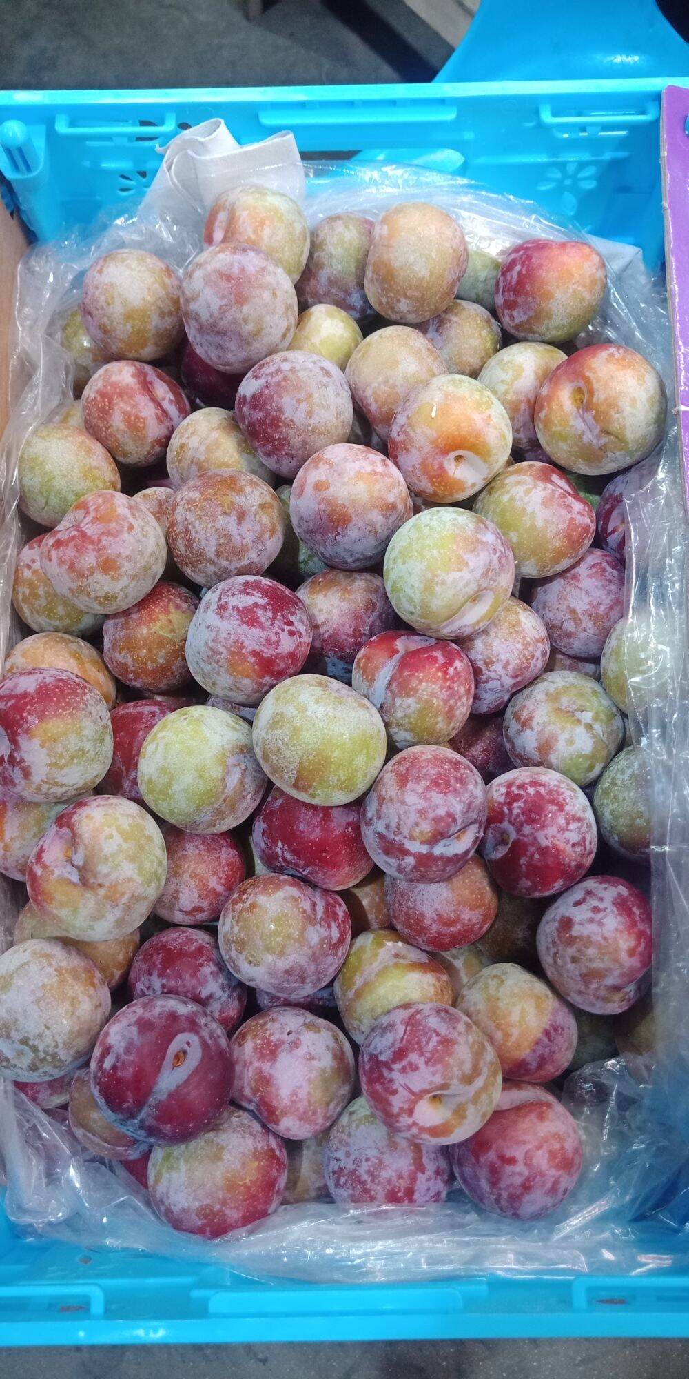 ช้อปออนไลน์ JK fruits | Lazada Thailand