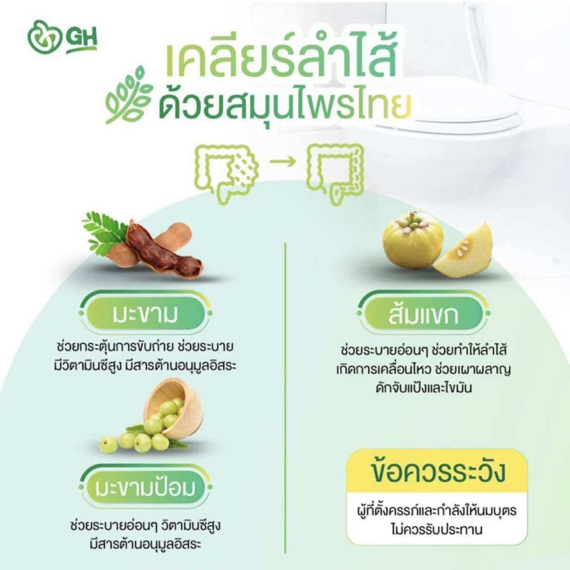 GH DETOX เครื่องดื่มดีท็อกซ์ สมุนไพรแท้ 100 ซื้อ 6 แถม 1 ซื้อ 10 แถม 2 - เฮลตี้ แคล ช็อป - ThaiPick