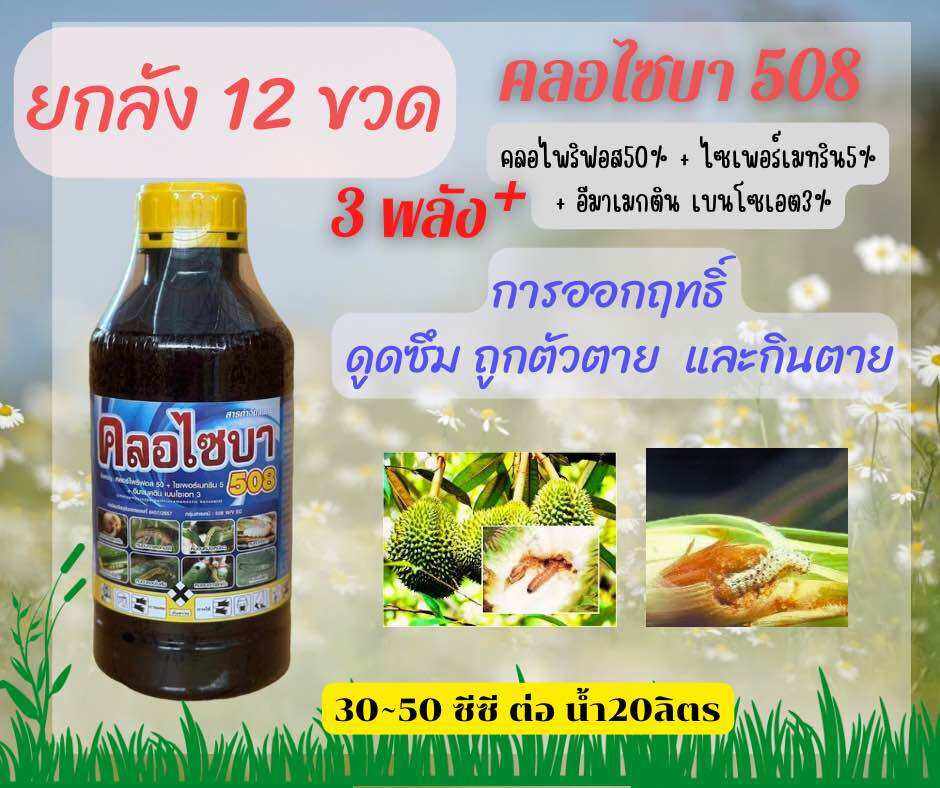Sf1cf400875c9479da74d605beb701bb5l.jpg