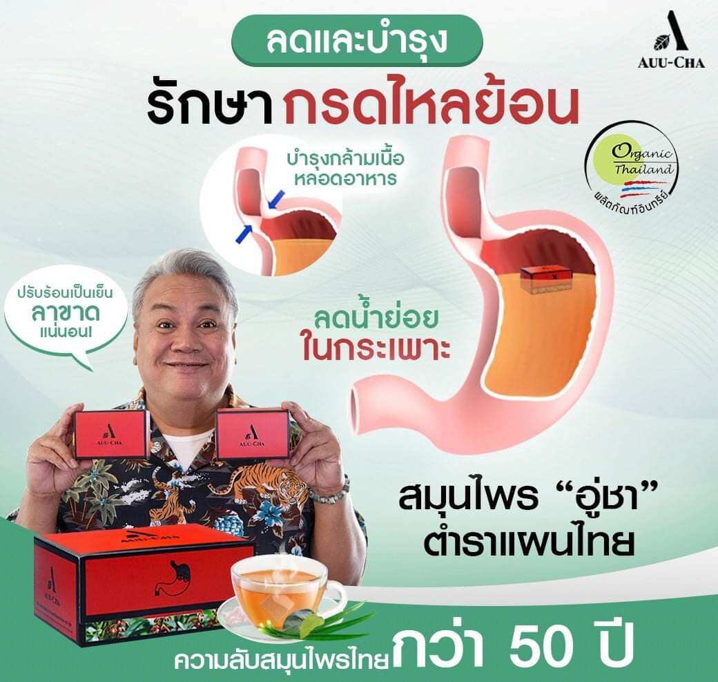 Auu-Cha อู่ชา ชาลดกรดไหลย้อน ชาแก้กรดไหลย้อน สมุนไพรลดกรดไหลย้อน ...