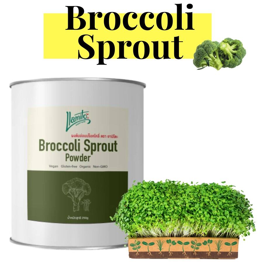 💥Broccoli Sprout Powder organic 💯% ขนาด 250 กรัม ผงต้นอ่อนบร็อคโคลี่ ผง ...
