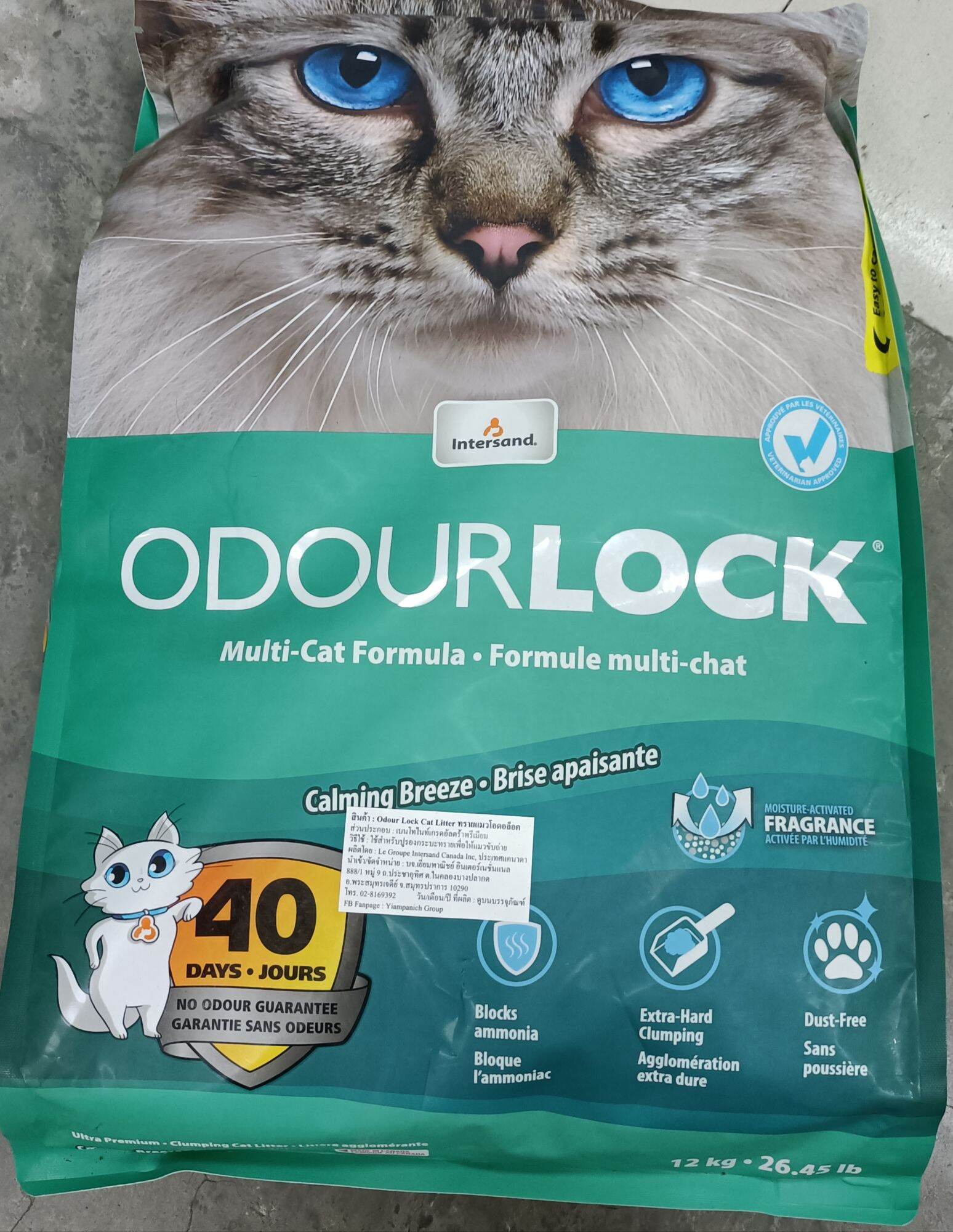 ทรายแมว ยี่ห้อ ODOURLOCK CAT Litter ขนาด6กิโล (1ถุง) | Lazada.co.th