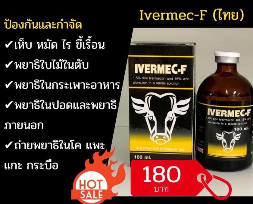 ของไทย ขนาด100 ml ivomec - WltZLbb4 - ThaiPick