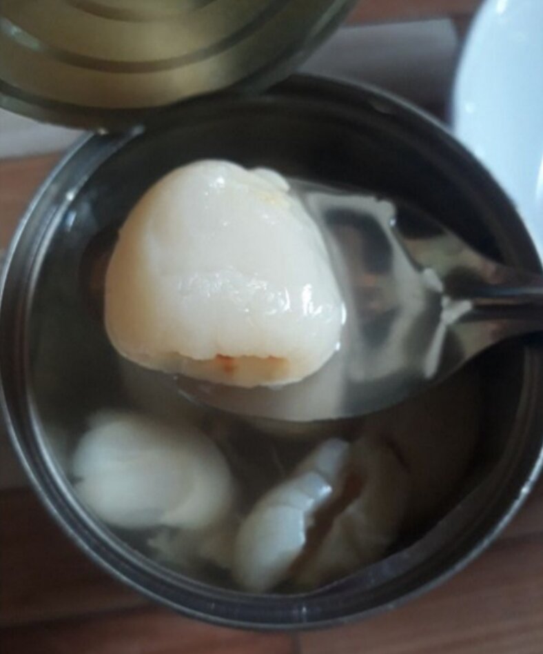 ลิ้นจี่กระป๋องตรามาลี Malee น้ำหนักสุทธิ 565กรัม Lychee-in-heavy-Syrup ...