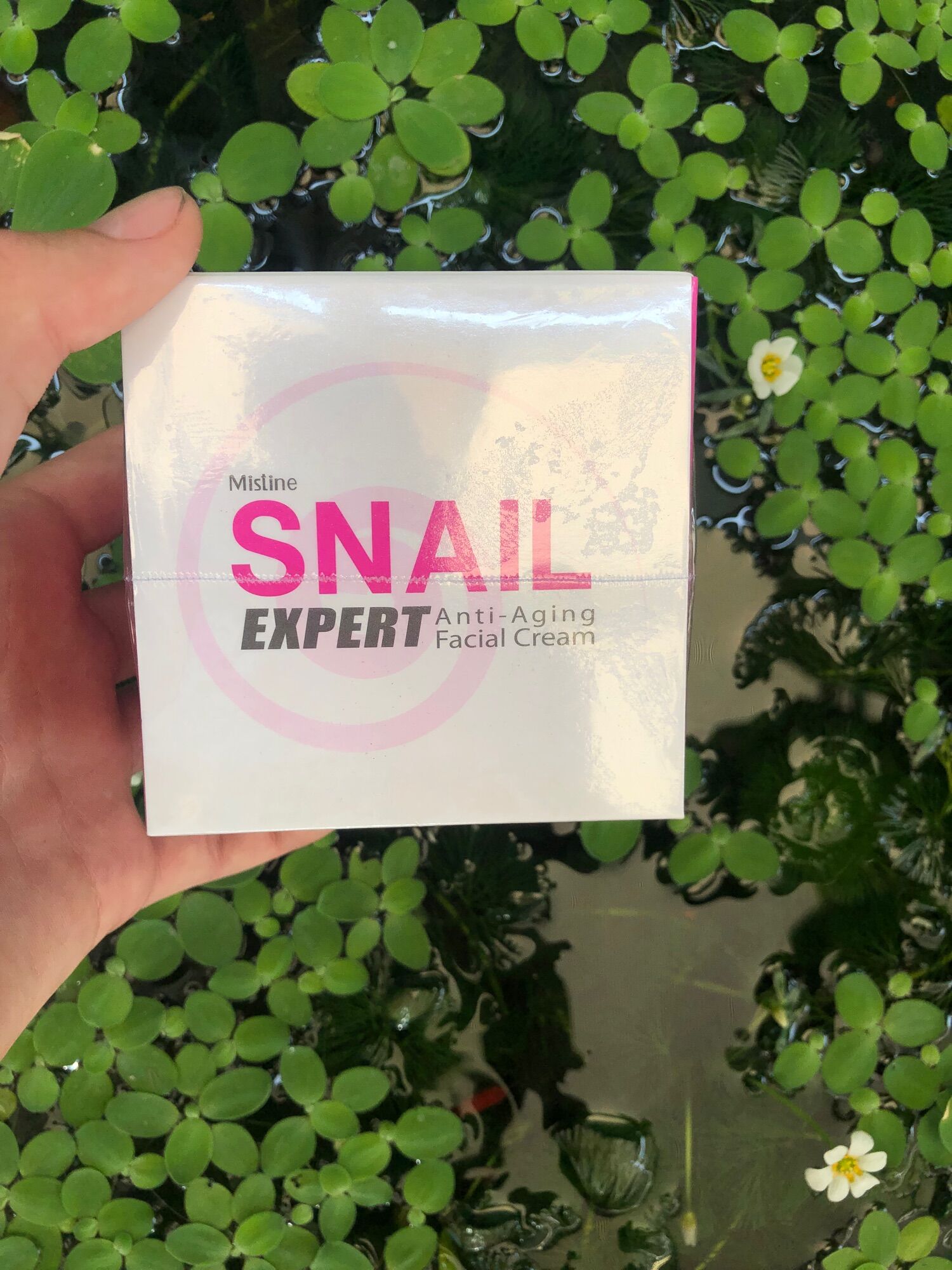 Mistine SNAIL EXPERT Anti-Anging Facial Cream. ครีมบำรุงผิวหน้าด้วยสาร ...