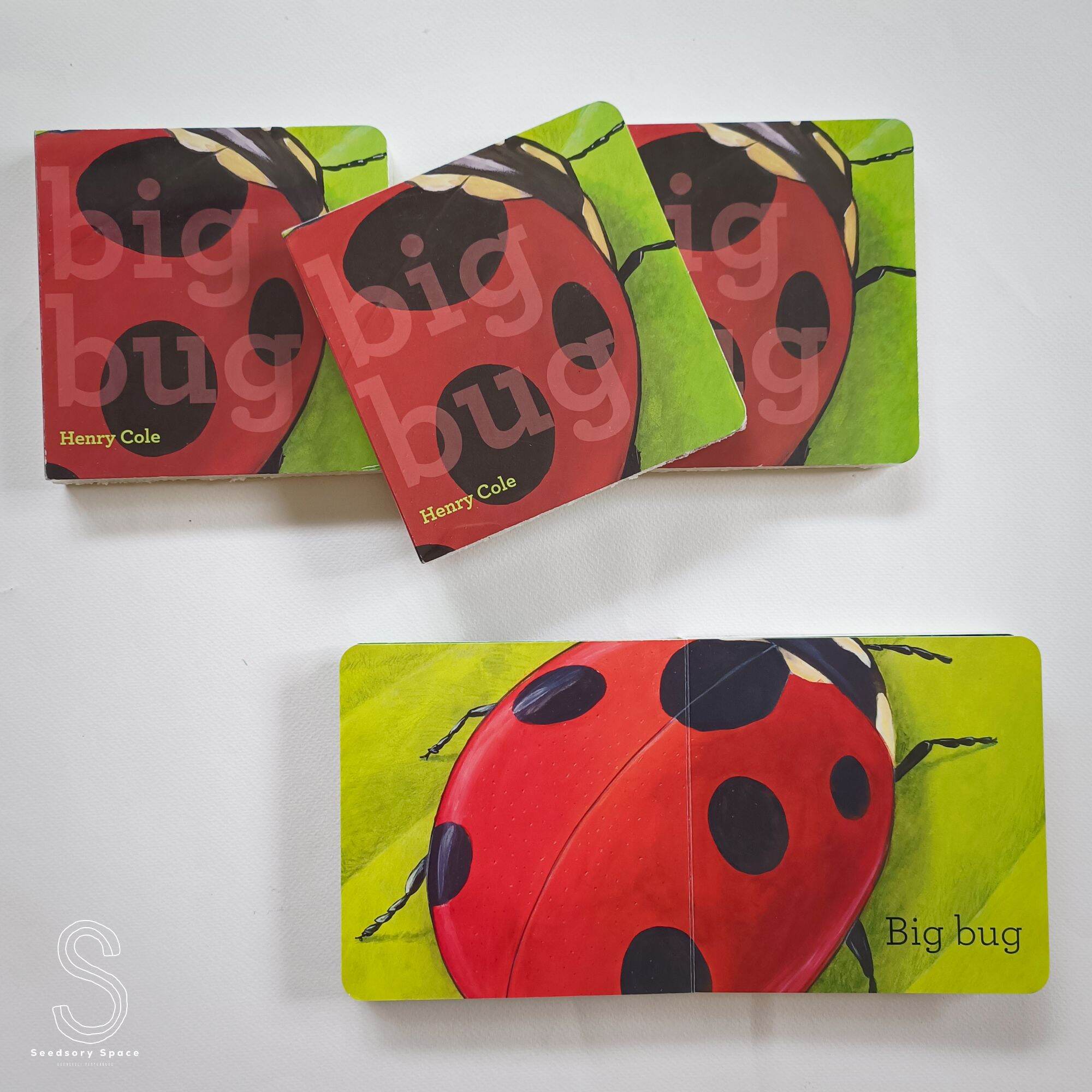 หนังสือภาพสำหรับเด็กเด็ก Big bug: Henry Cole | Lazada.co.th