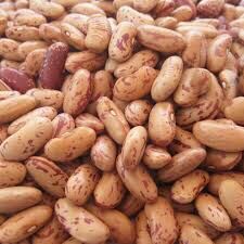 Rajma Chitra 500g (Pinto Beans) | Lazada.co.th