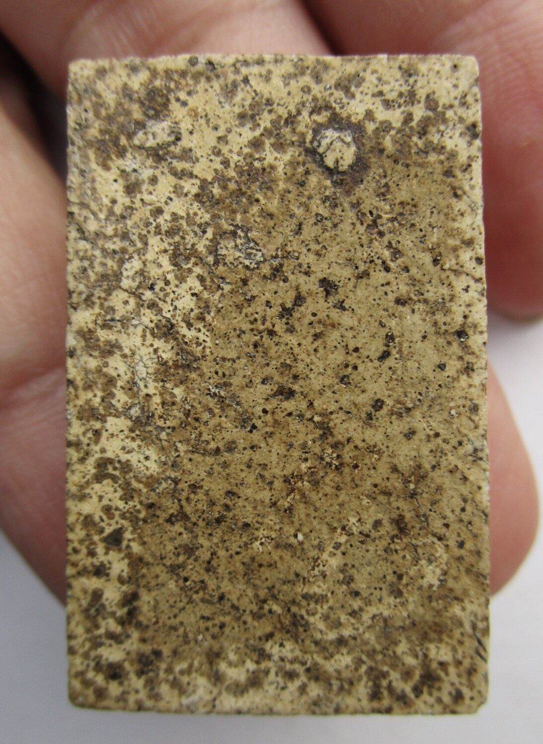 พระสมเด็จ#พระสมเด็จวัดระฆัง#พระเครื่อง#พระชุดเบญจภาคี R.236 - Takky ...