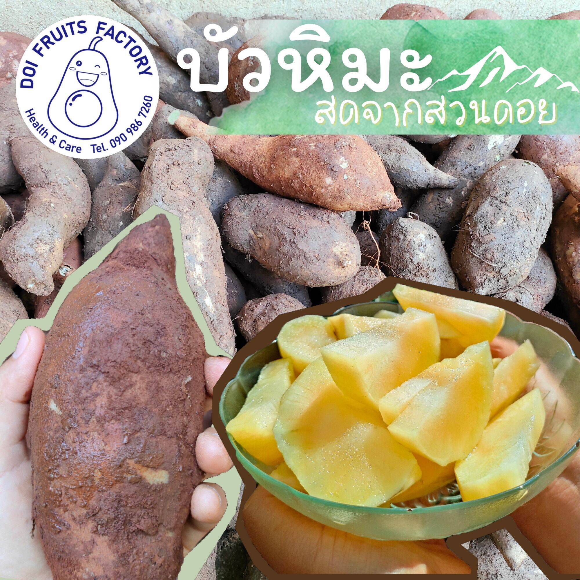 บัวหิมะ บรรจุเหมากล่องละ 3 กก. มี 2 ขนาด/ราคาให้เลือก. - Doi Fruits ...