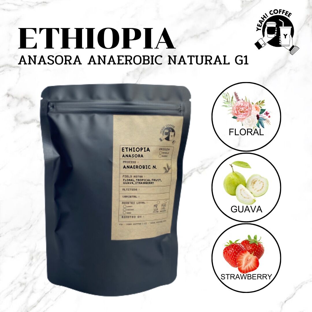YEAH COFFEE เมล็ดกาแฟ คั่วอ่อน ETHIOPIA ANASORA (Process Anaerobic ...