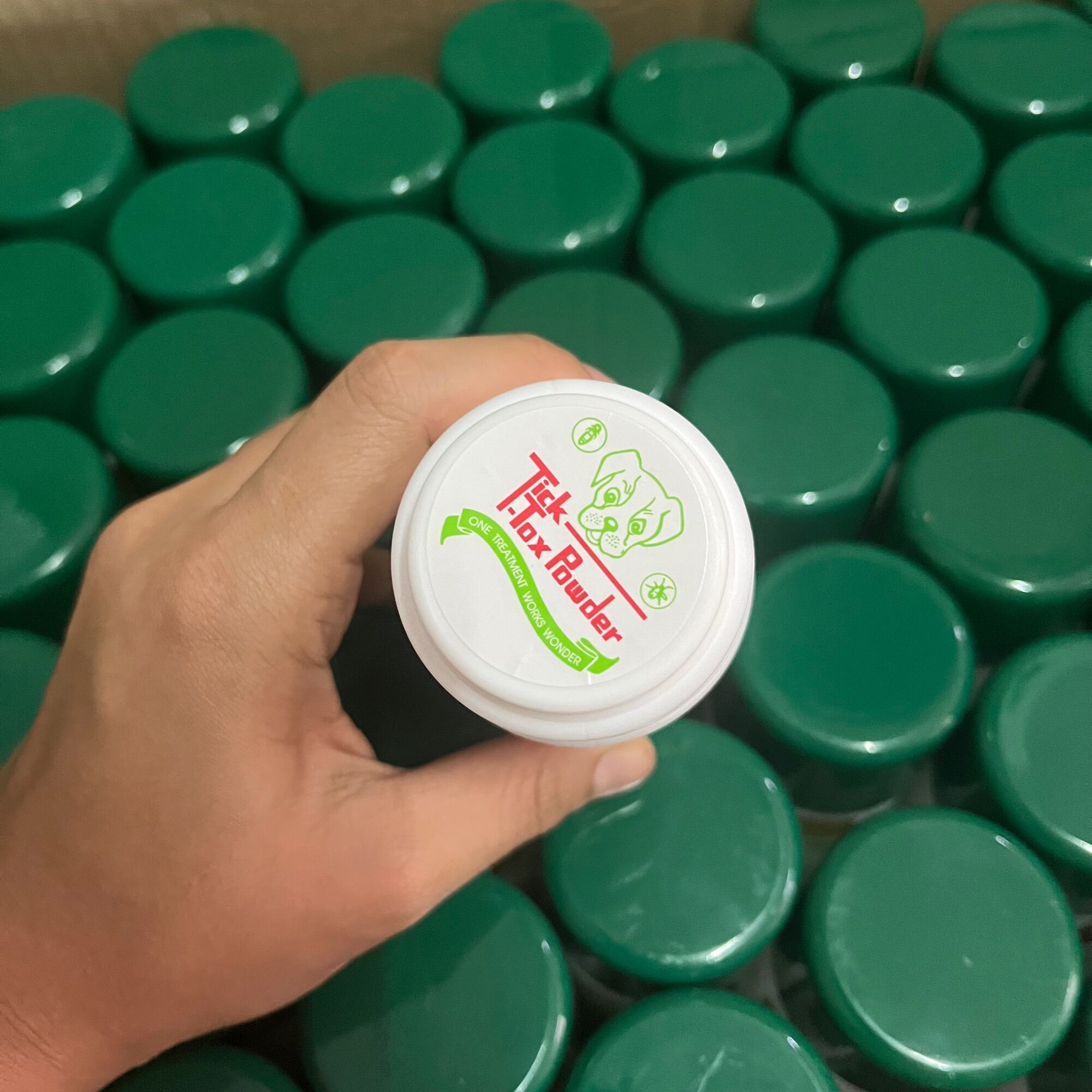 (แพค6) แป้งทิคท๊อค Tick-Tox เห็บ หมัด ไร แป้งสุนัข แป้งเห็บ กำจัดเห็บ ...