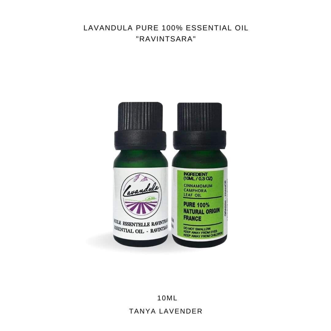 Lavandula - Pure 100% Essential Oil - Ravintsara น้ำมันหอมระเหย สกัด ...