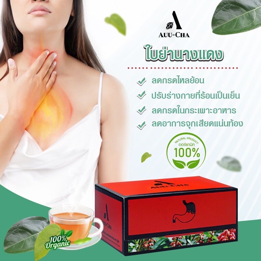 Auu-Cha อู่ชา ชาลดกรดไหลย้อน ชาแก้กรดไหลย้อน สมุนไพรลดกรดไหลย้อน ...