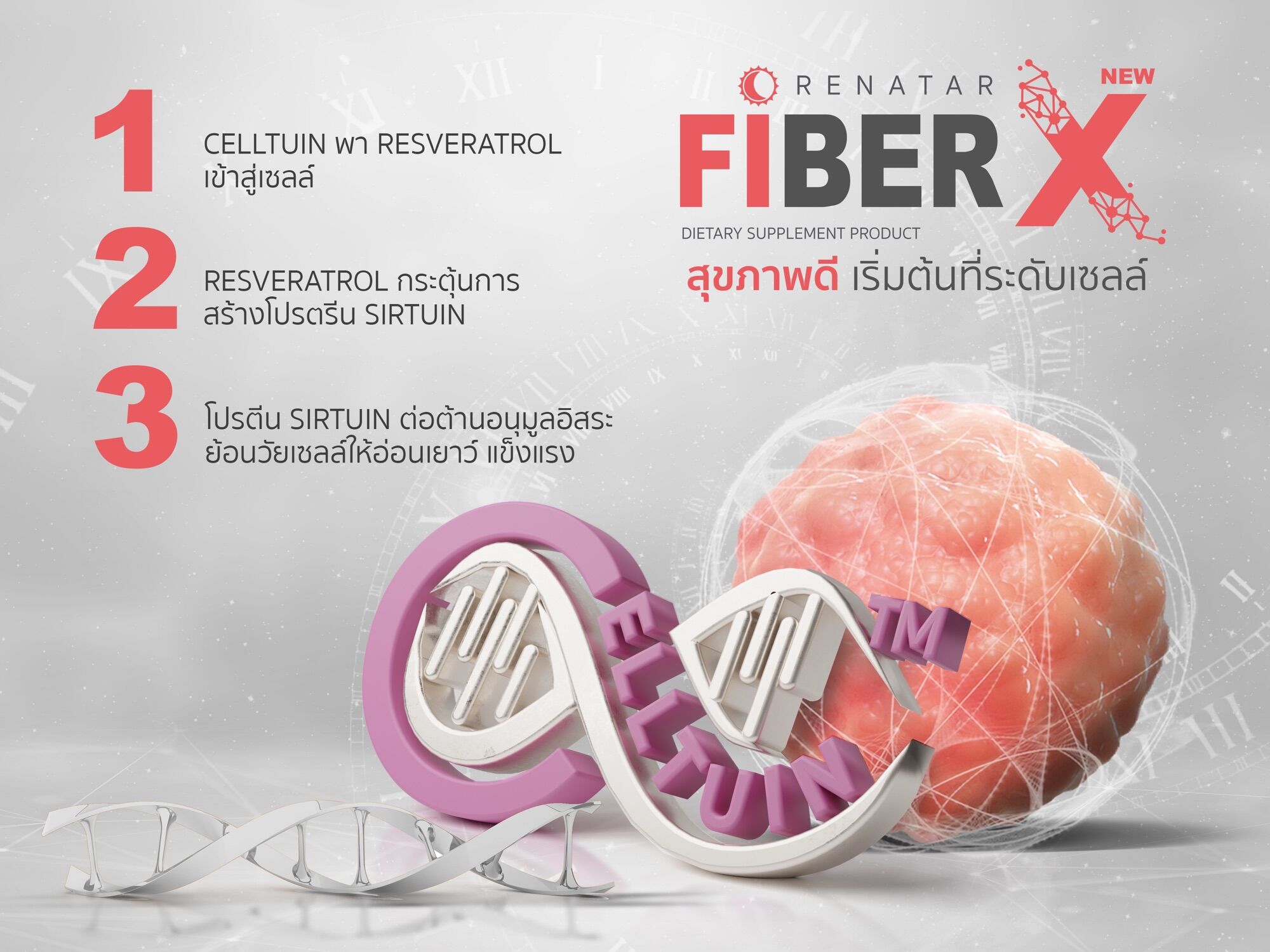 [3boxes] เรนาต้านิวไฟเบอร์เอ็กซ์ Renatar New FiberX (3กล่อง) - Annclothes - ThaiPick