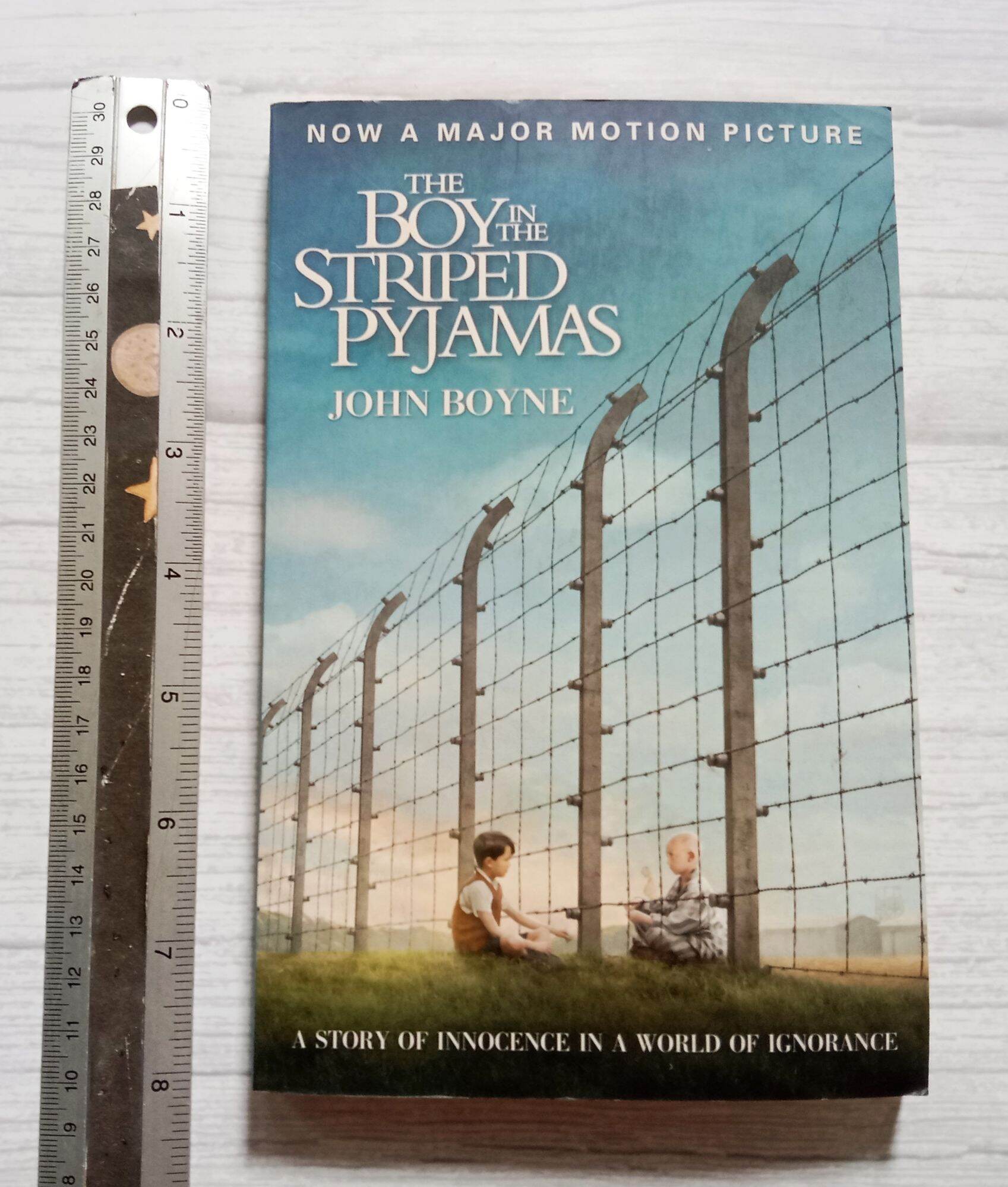 Boy In The Striped Pajamas Book Vs Movie at Shelley Siegel blog